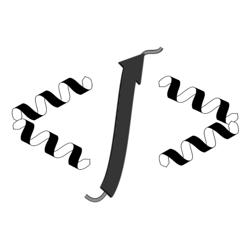 Team – Strodel Group